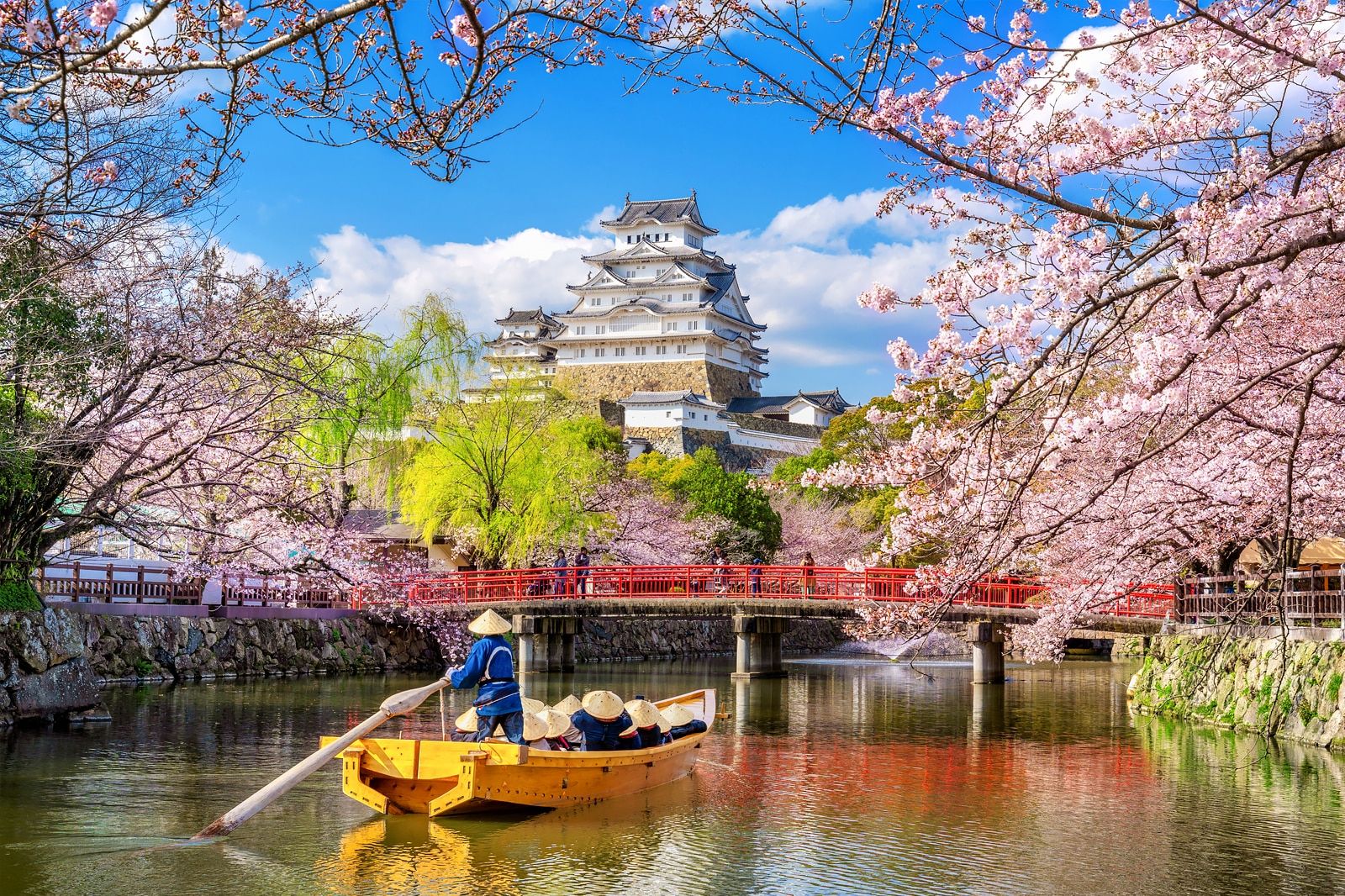 Top Cherry Blossom Spots in the Osaka Area