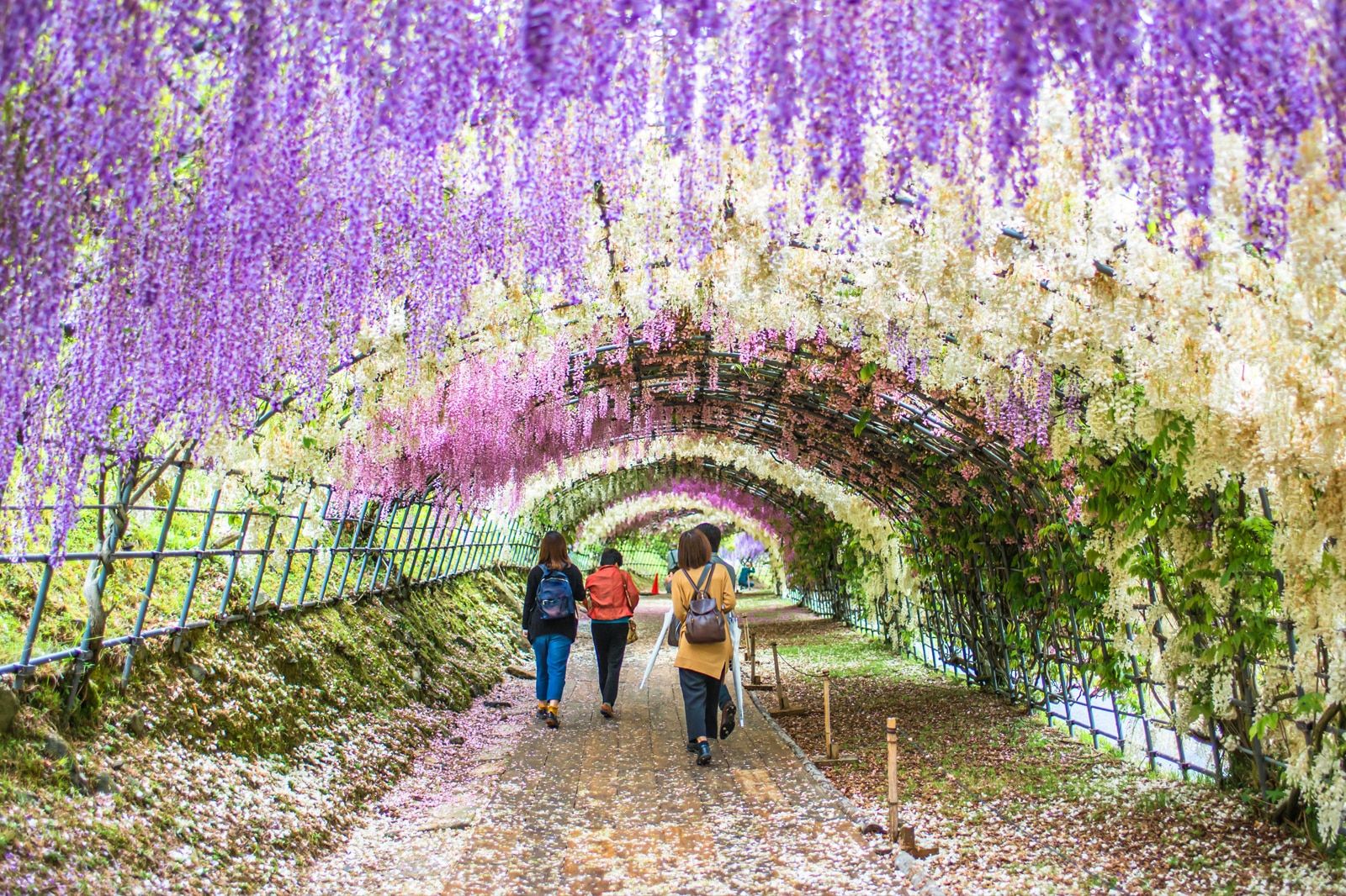 Best Budget Things to Do in Fukuoka