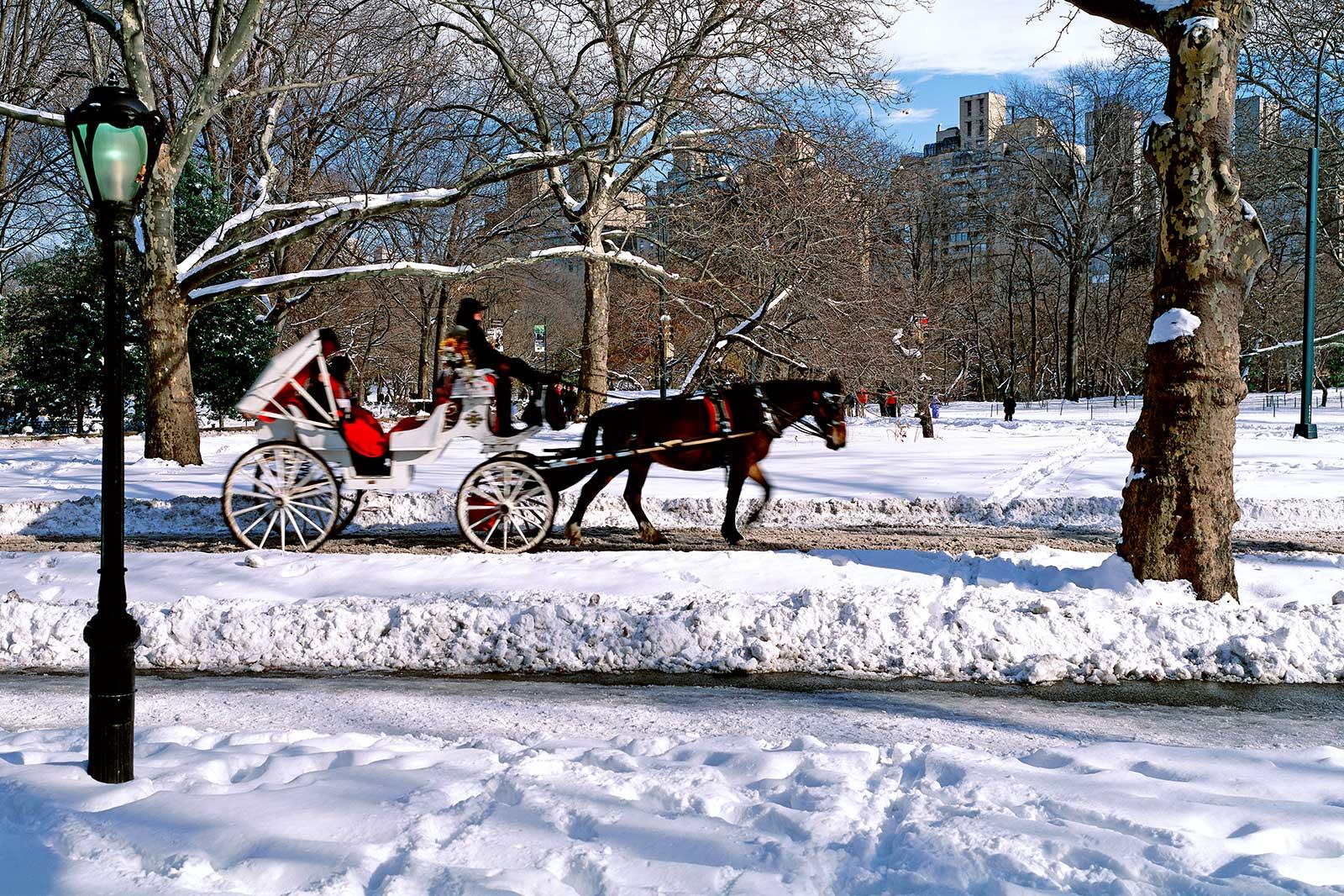 Best places to celebrate Christmas in New York
