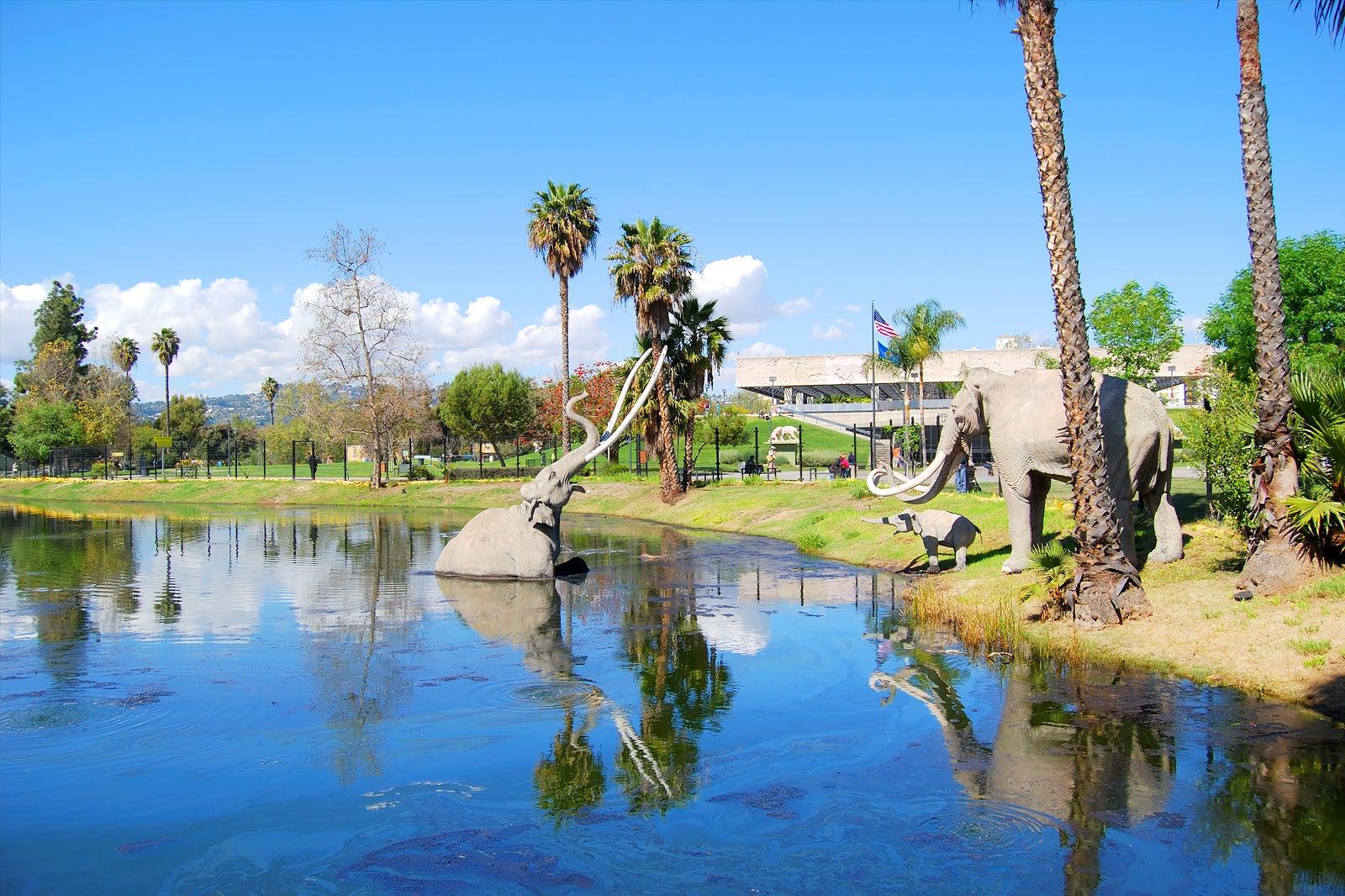 The La Brea Tar Pits and Museum in Los Angeles