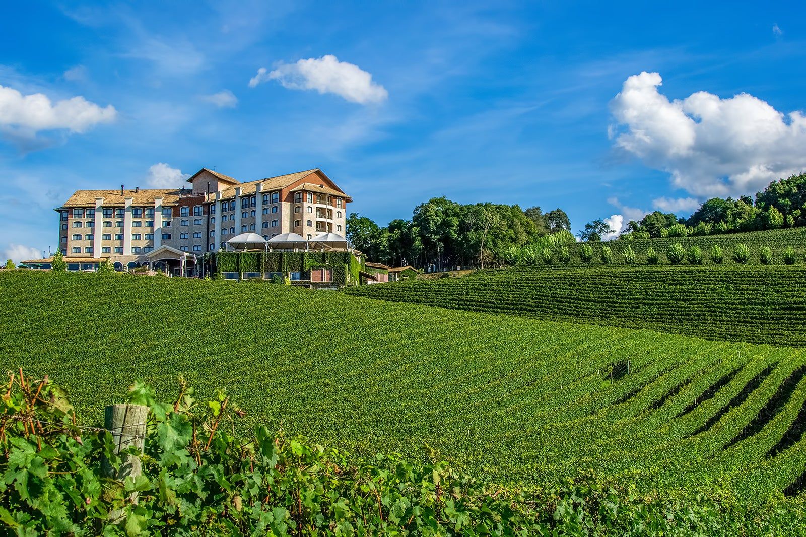 10 melhores vinícolas em Bento Gonçalves