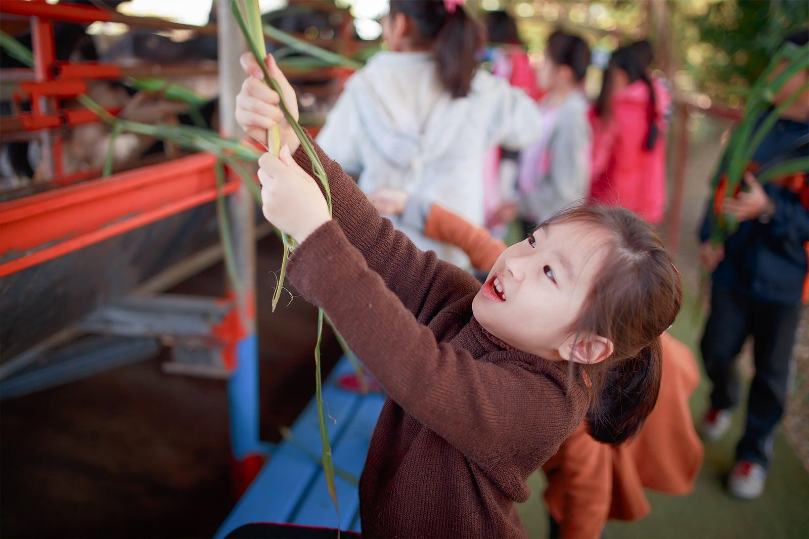 Things to Do for Families in Kaohsiung