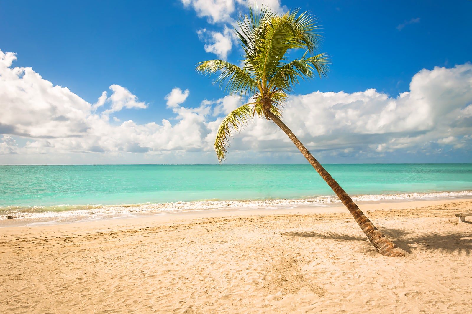 Lugares mais instagramáveis em Maragogi