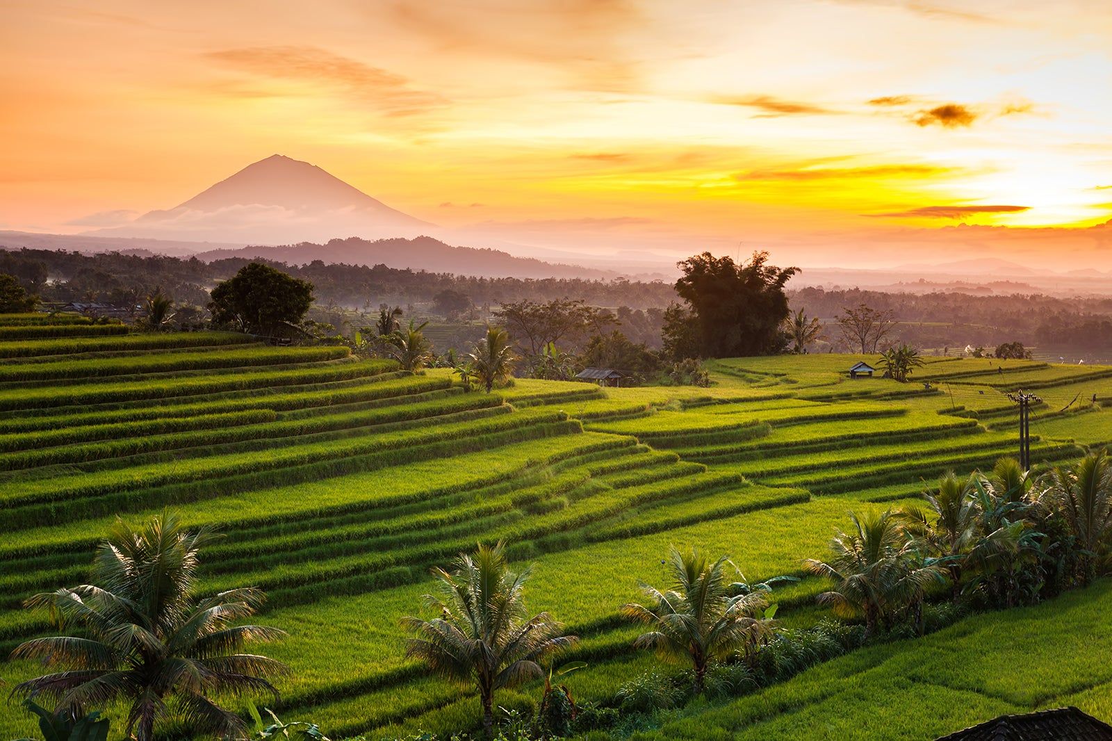 Jatiluwih Rice Terraces - Cultural Landscape Heritage Site in Tabanan, Bali