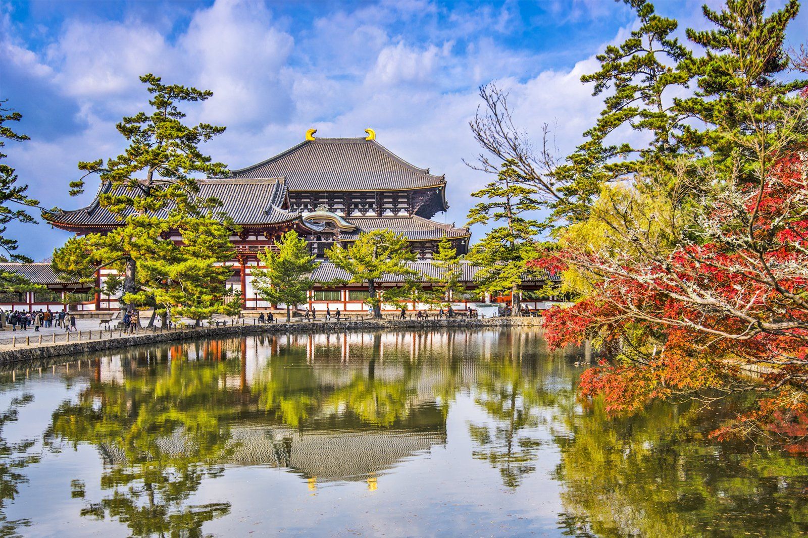 Best Things to Do in Nara