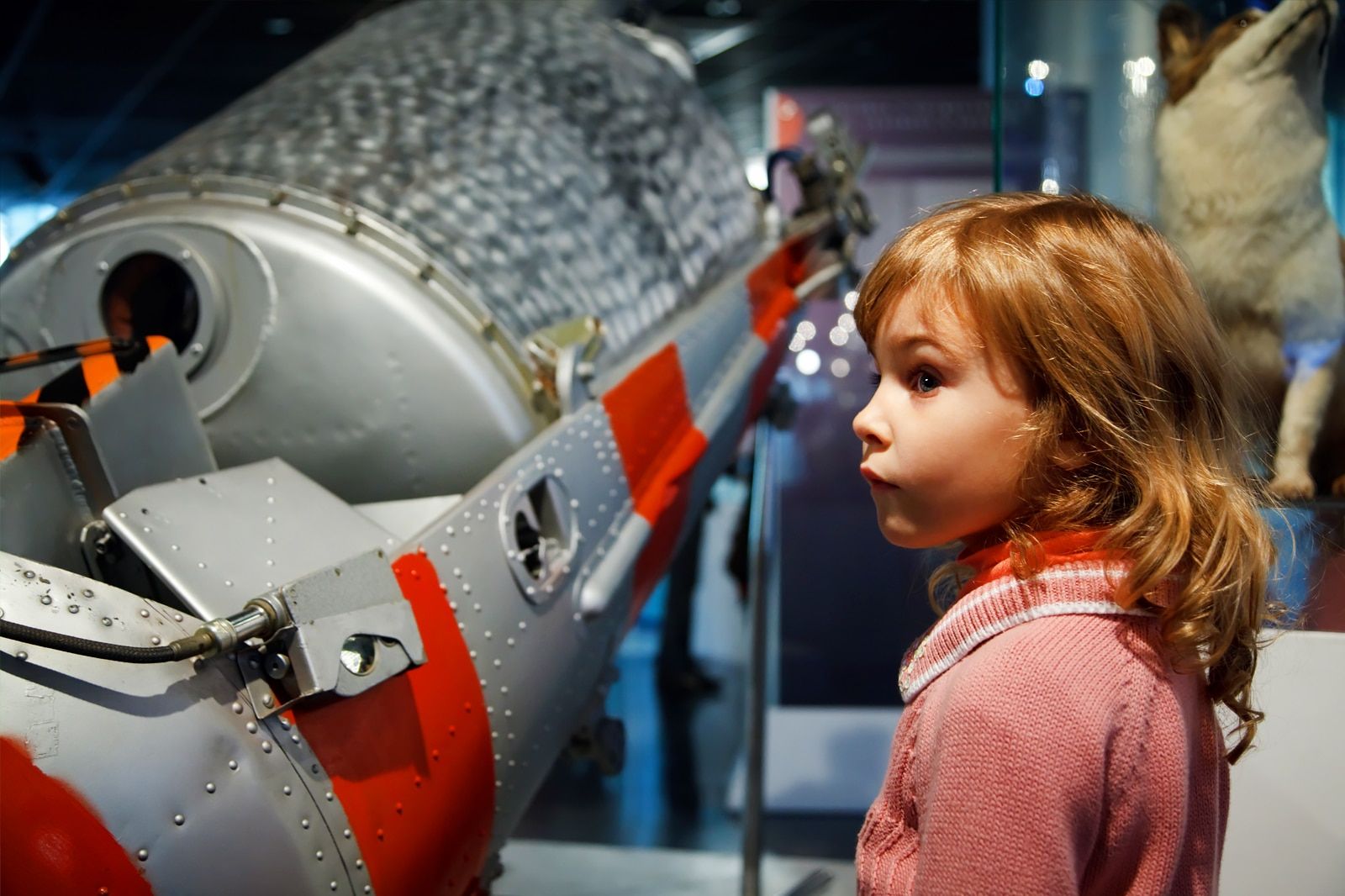 Best Things to Do with Your Family in Houston