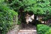 A stone staircase in between trees.