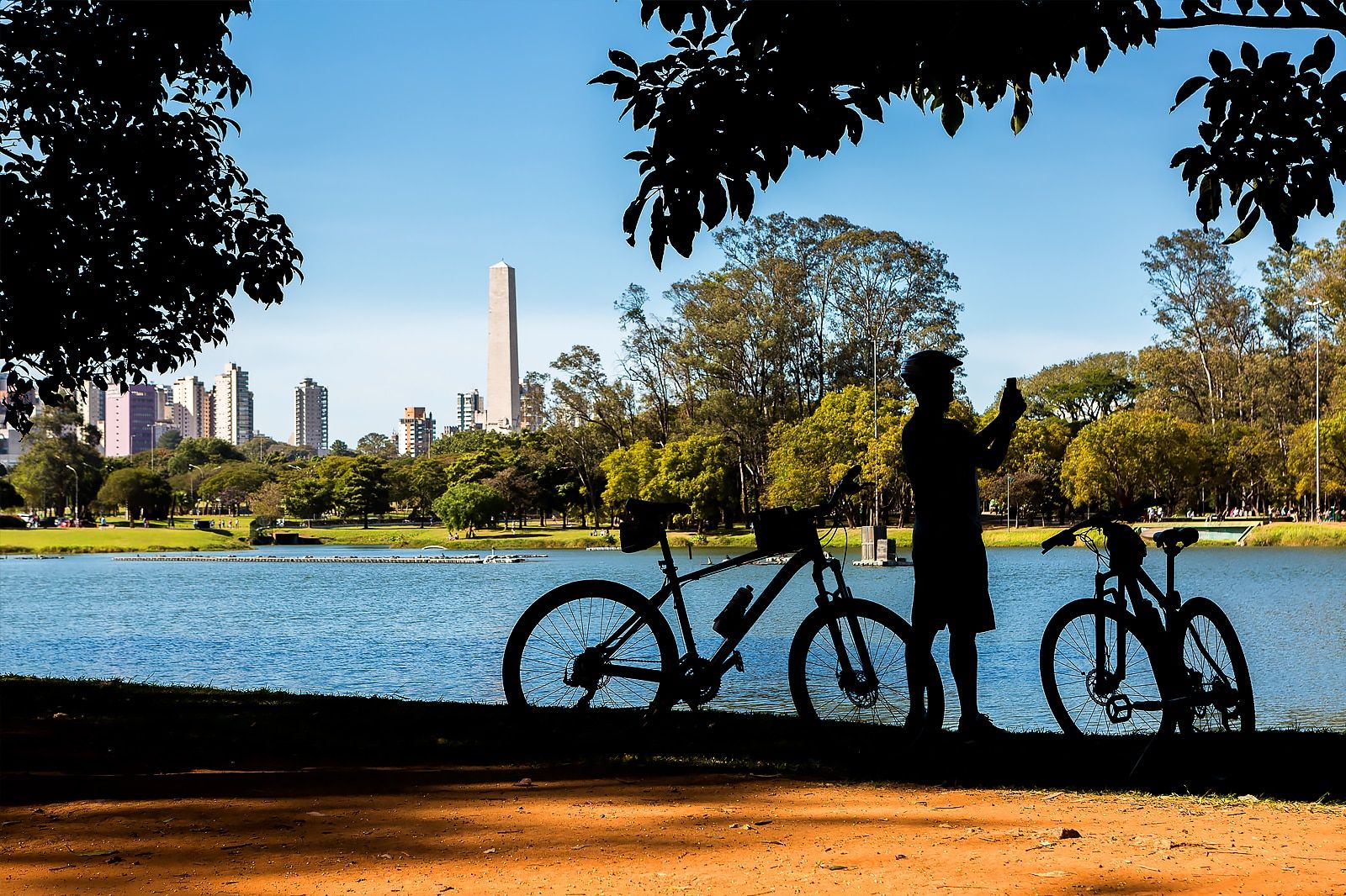 Free Things to Do in São Paulo