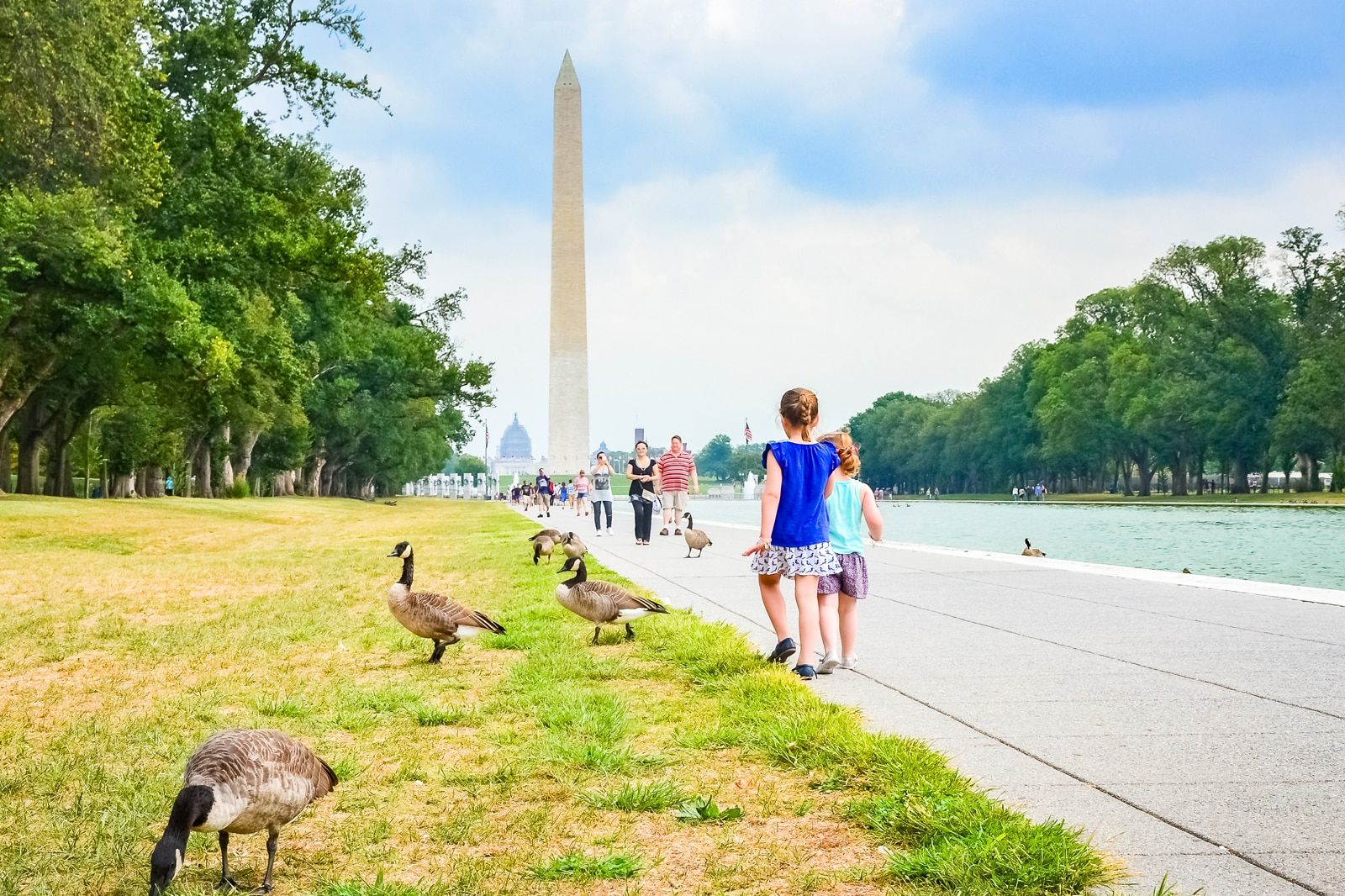 Best Things to Do with Your Family in Washington DC