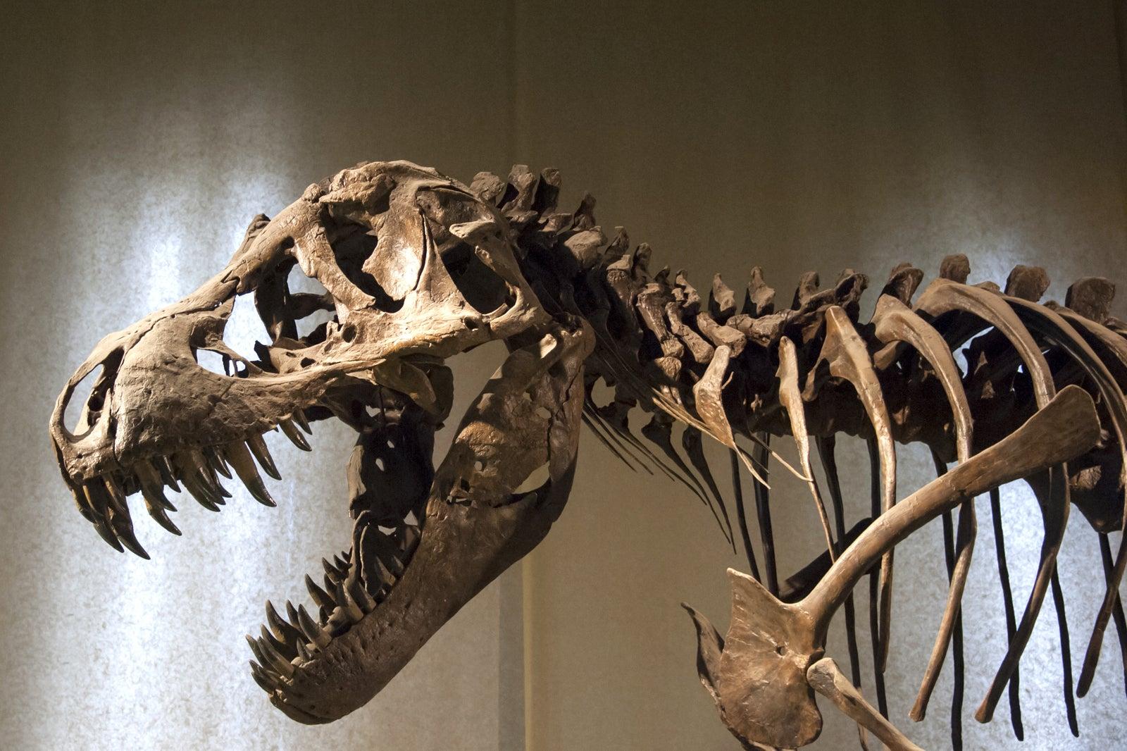 Natural History Museum of Los Angeles County