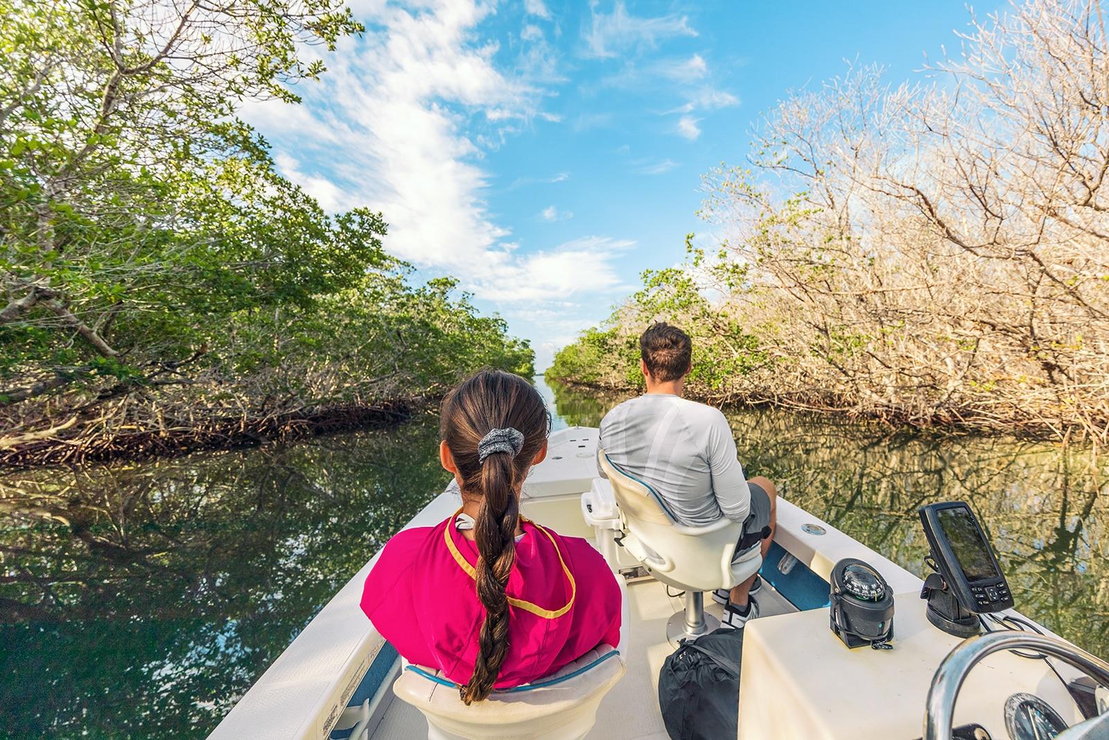 The Everglades