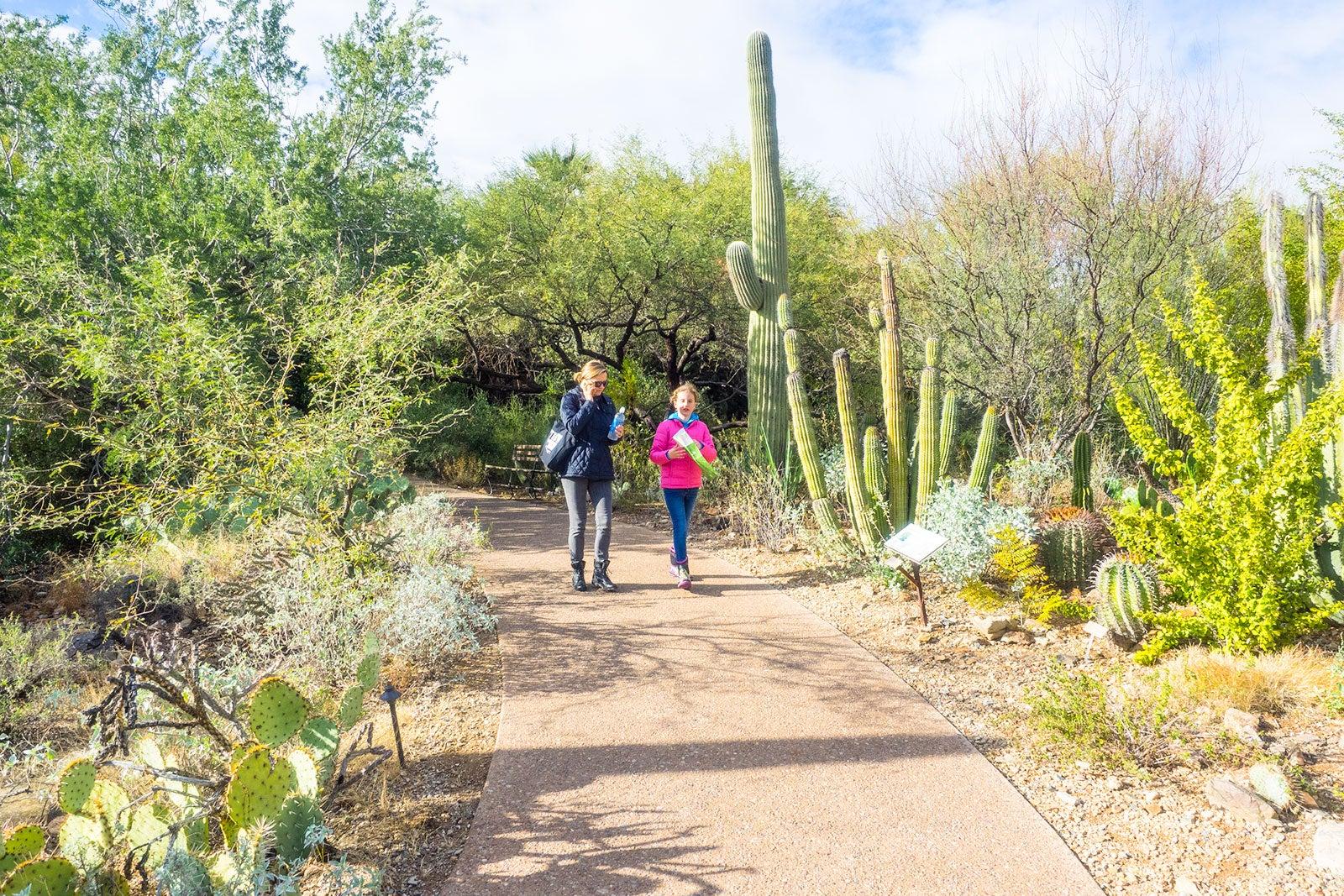 Arizona-Sonora Desert Museum