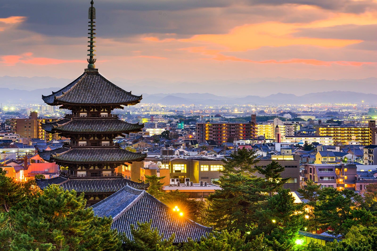 Best Things to Do After Dinner in Nara