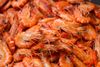 Fresh prawns from local boat sales