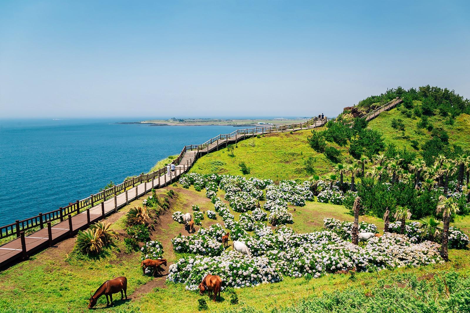 Best Things to Do for Couples in Jeju Island