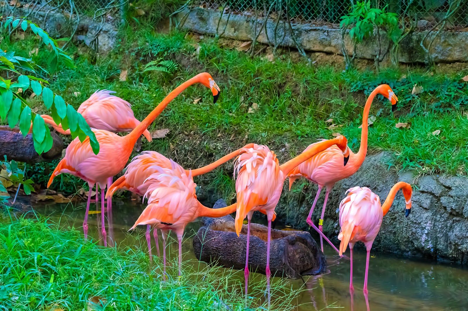 BioParque do Rio de Janeiro