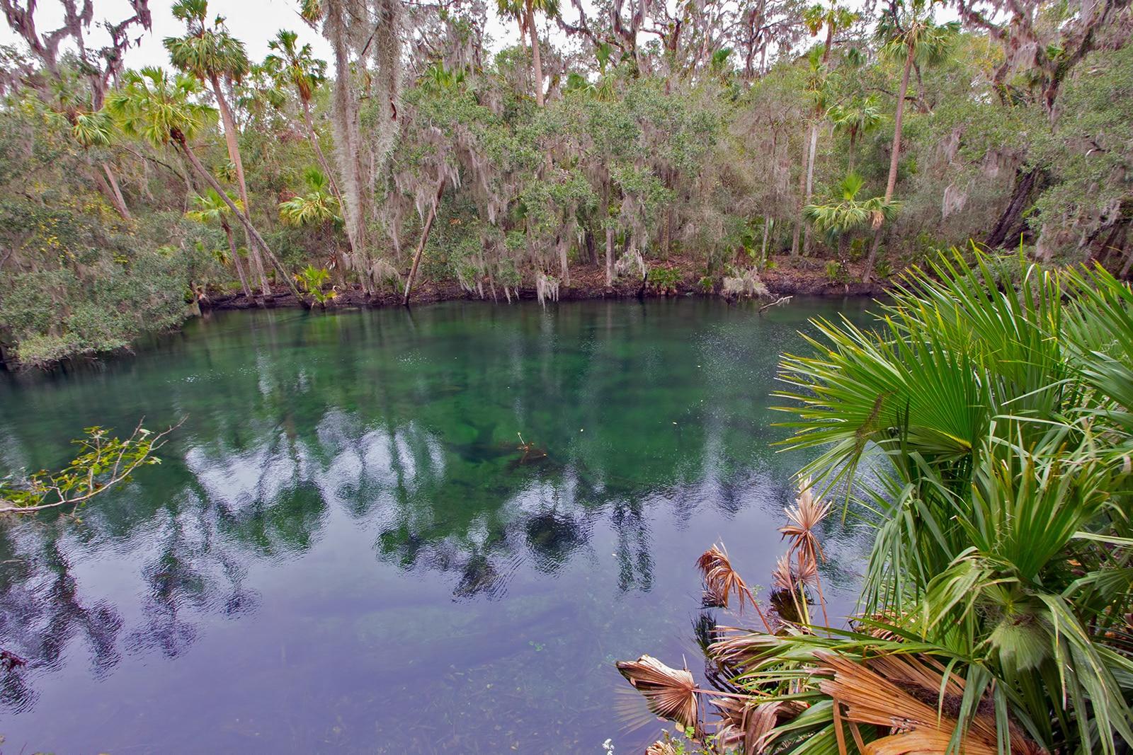 Blue Spring State Park