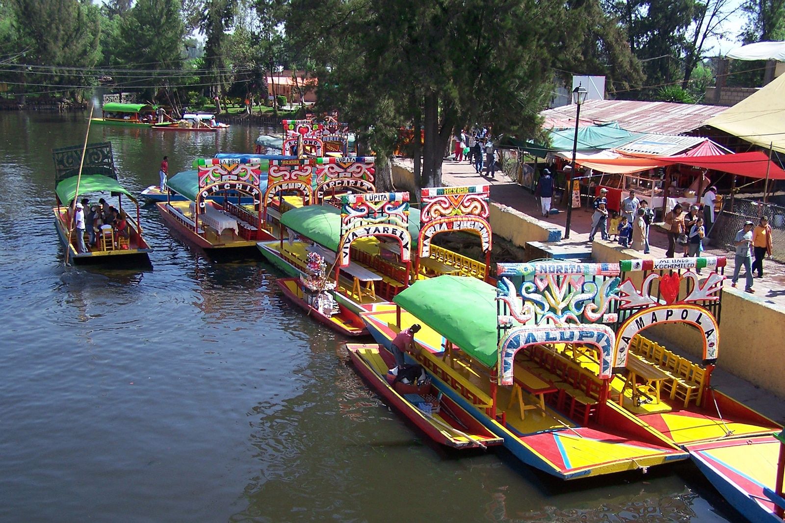 Things to Do with Your Family in Mexico City