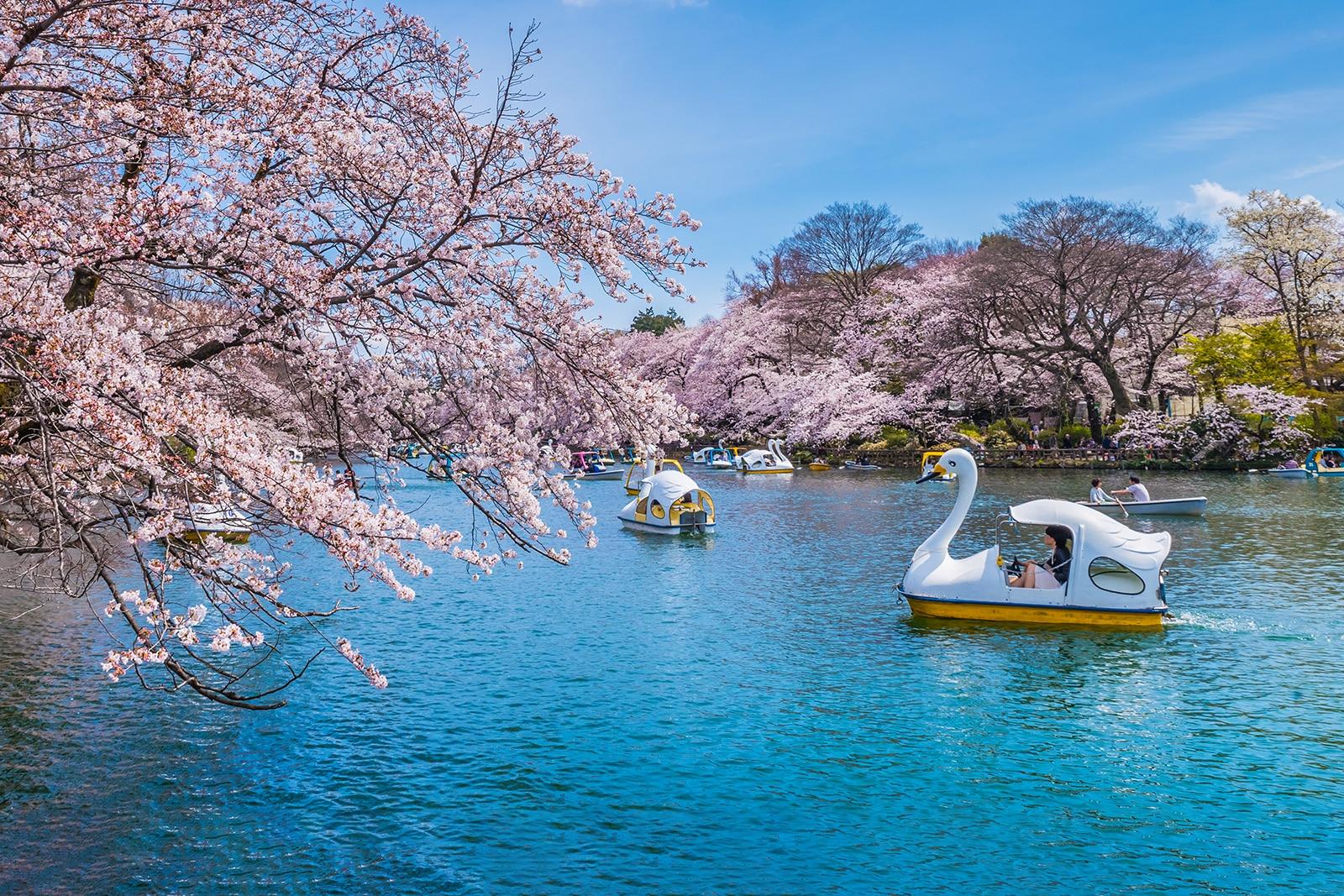 Recommended Date Spots for Couples in Tokyo