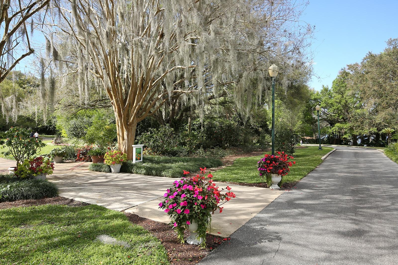 Harry P. Leu Gardens Orlando
