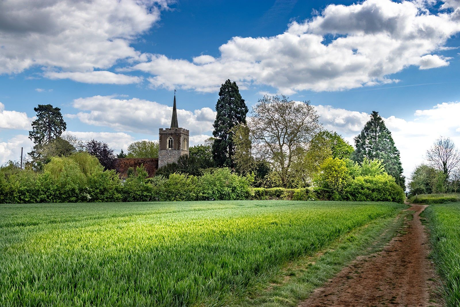 10 Best Things to Do in Bishop's Stortford