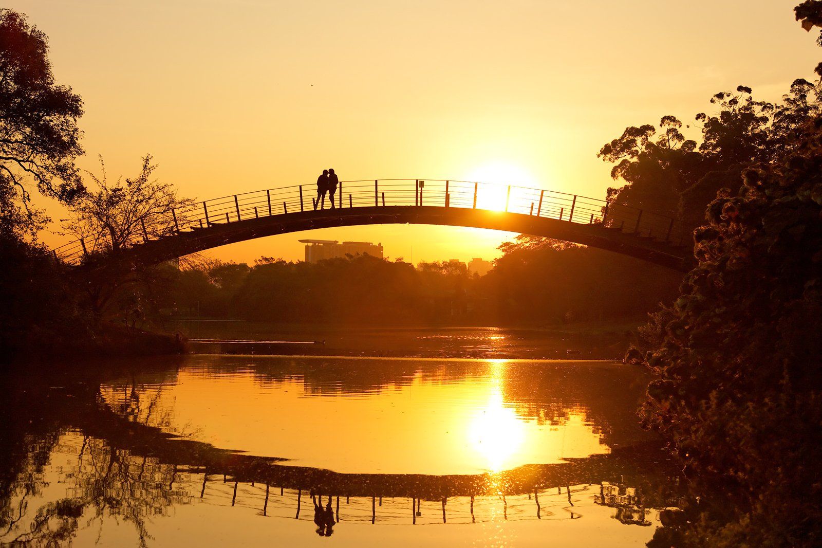 Things to Do for Couples in Sao Paulo