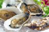 An oyster dish.