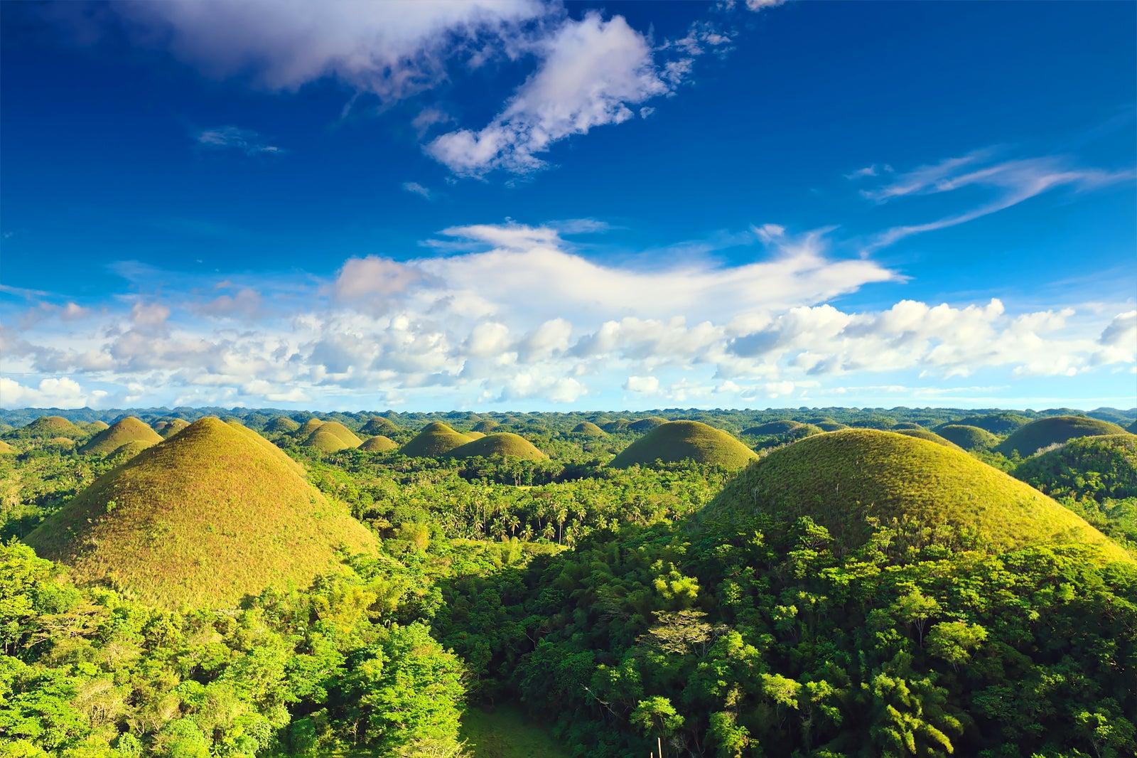 Bohol Island