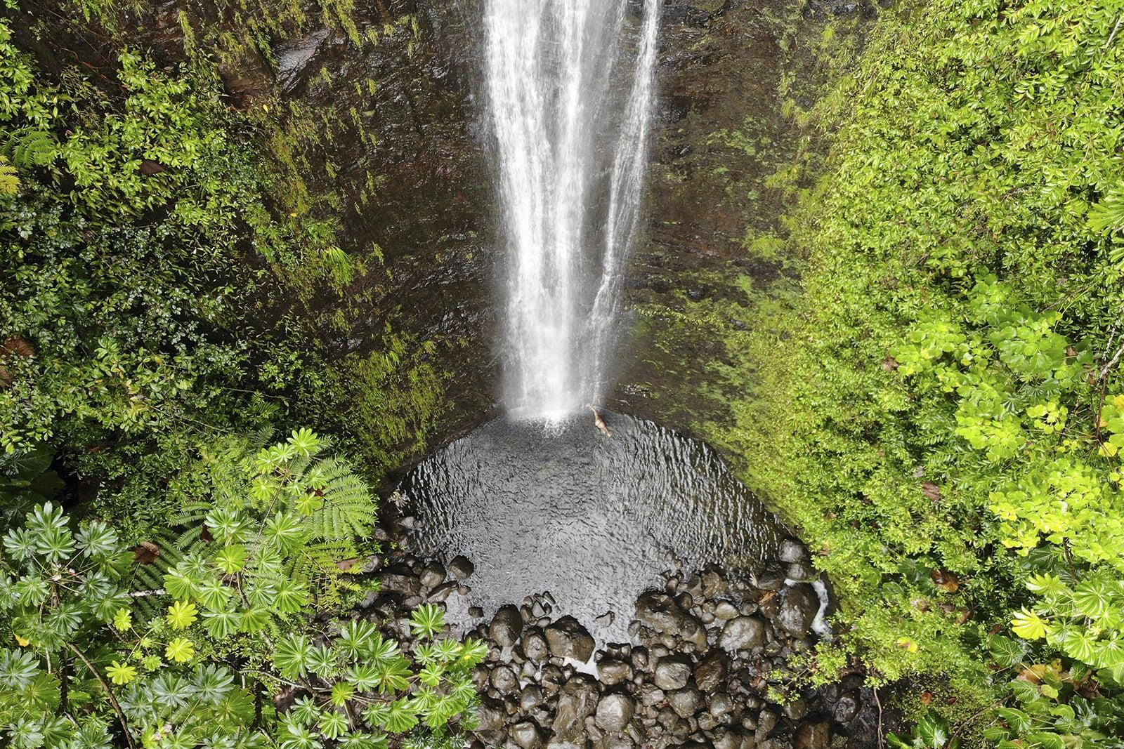 Manoa Falls