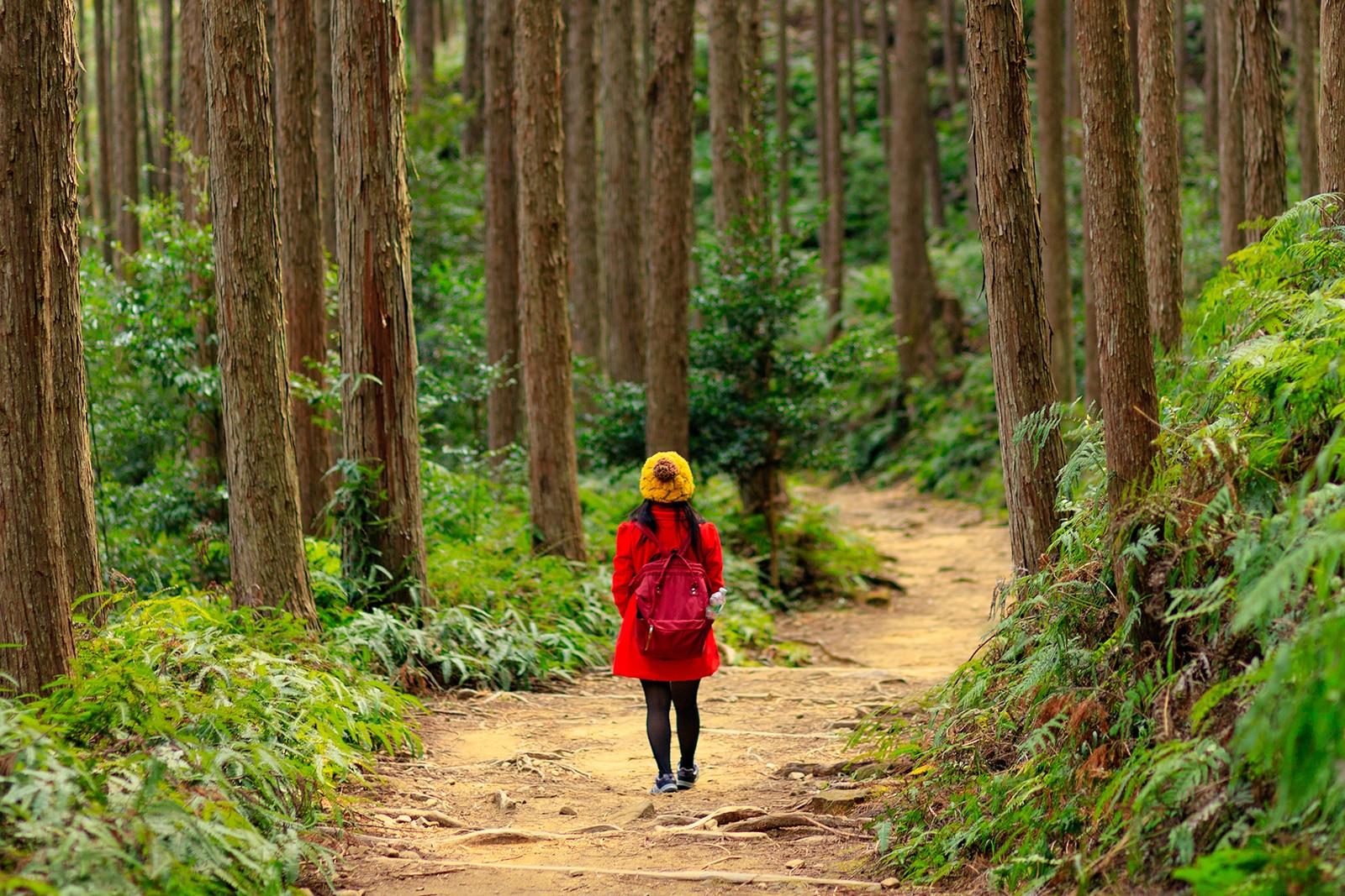 Japan's most popular hiking trails