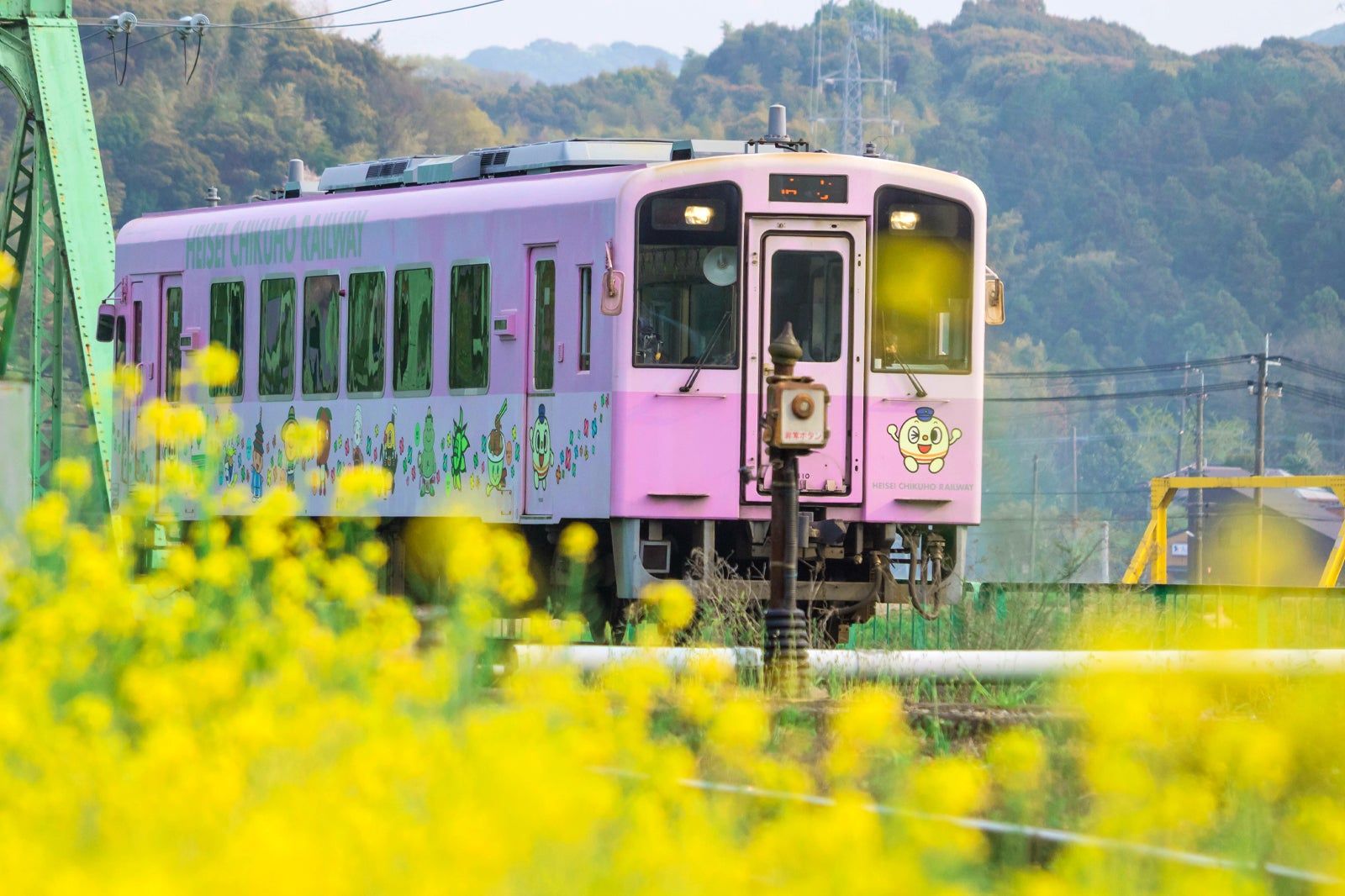Fukuoka Travel Essentials