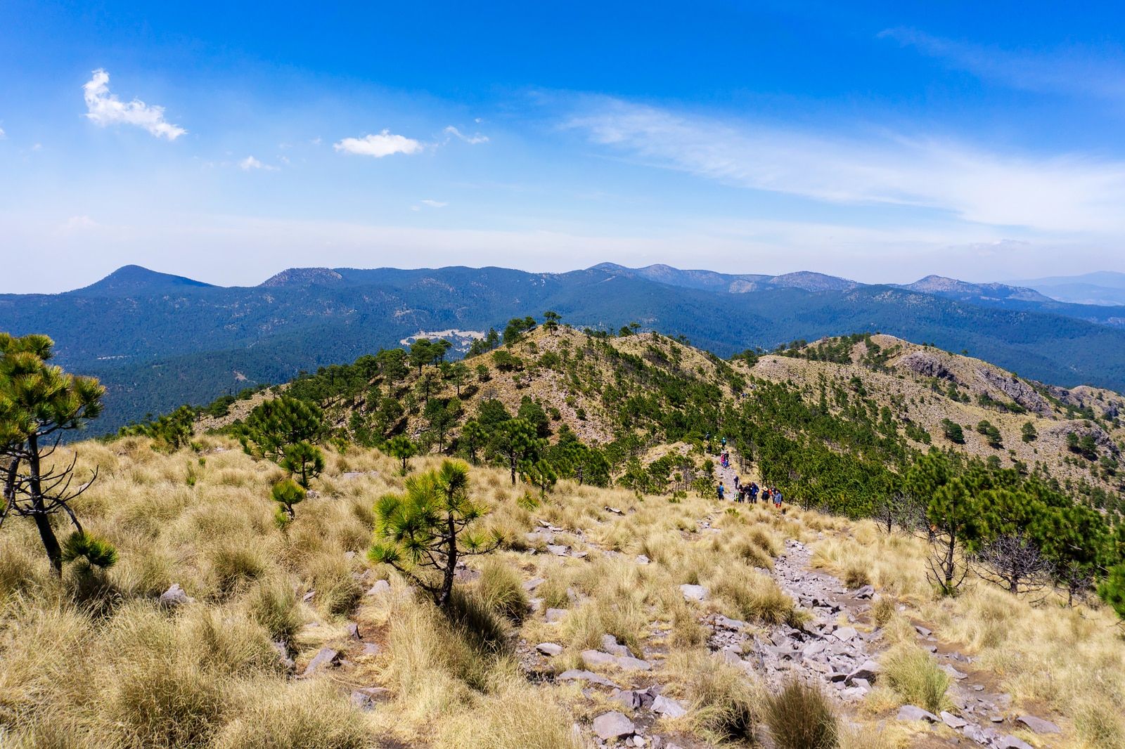 Best Outdoor Adventures in and Around Mexico City