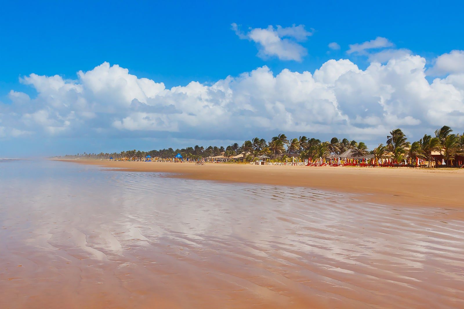 Melhores coisas para fazer em Aracaju