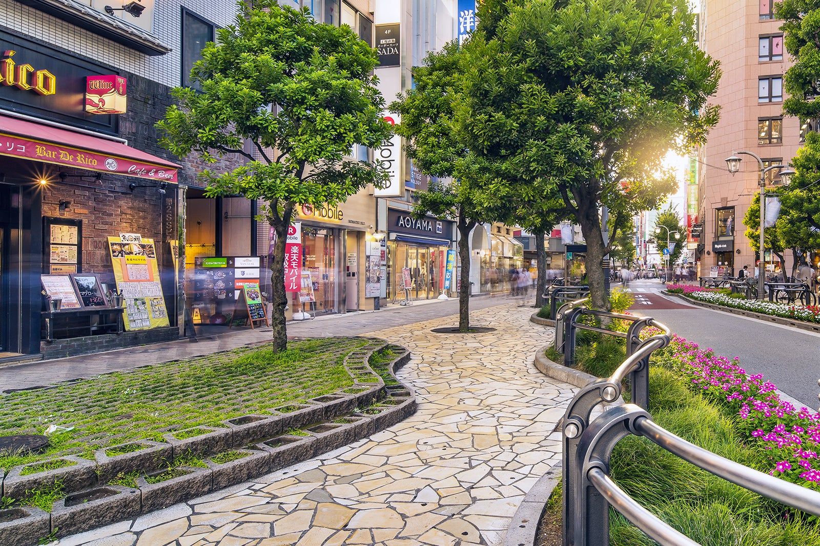 Top Popular Districts in Tokyo