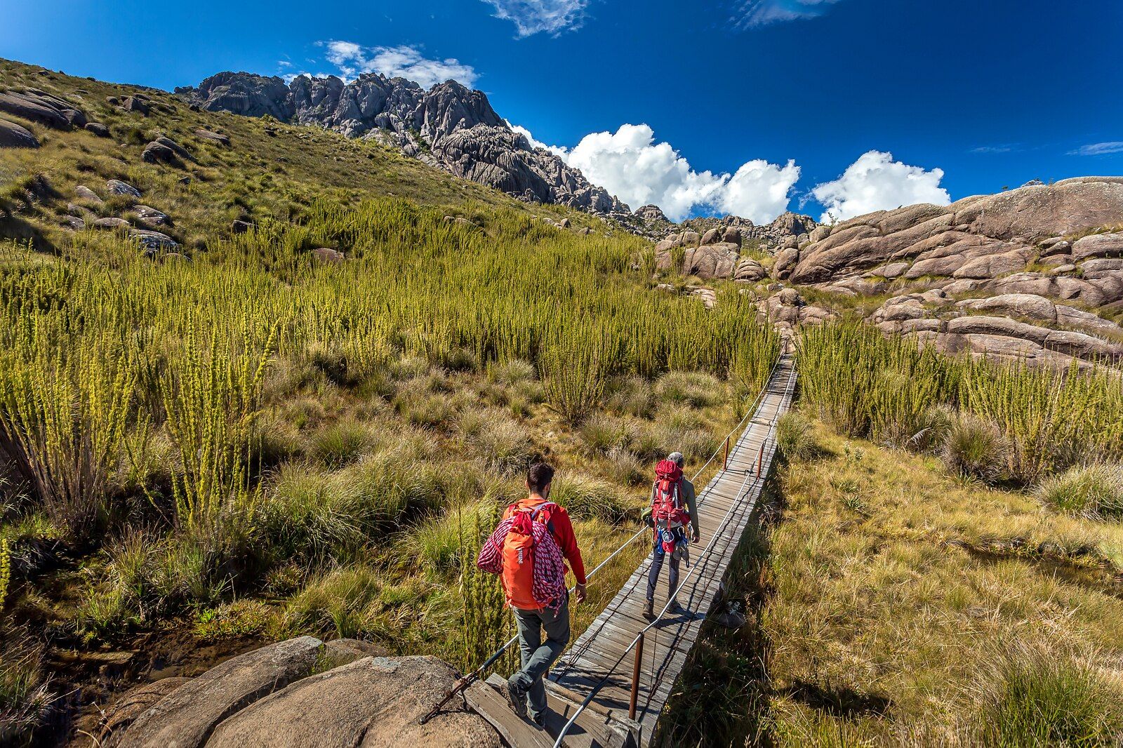 Melhores viagens por estrada no Rio de Janeiro