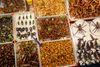 Eating Insects in Bangkok and Where to Find Them