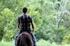 Horseback Riding