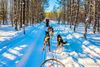 Best Things to Do in Finland
