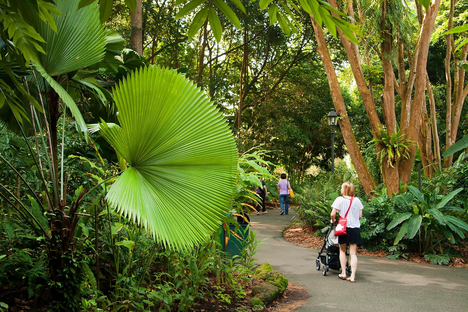 Best Things to Do in Bukit Timah