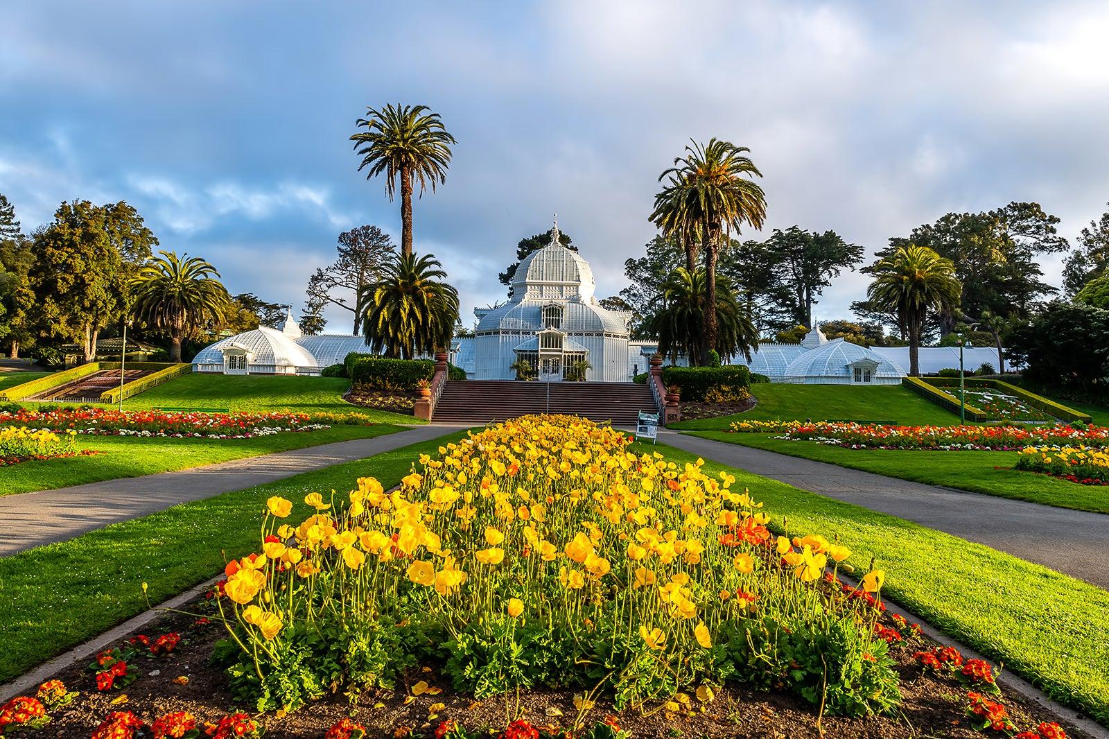 San Francisco Botanical Garden