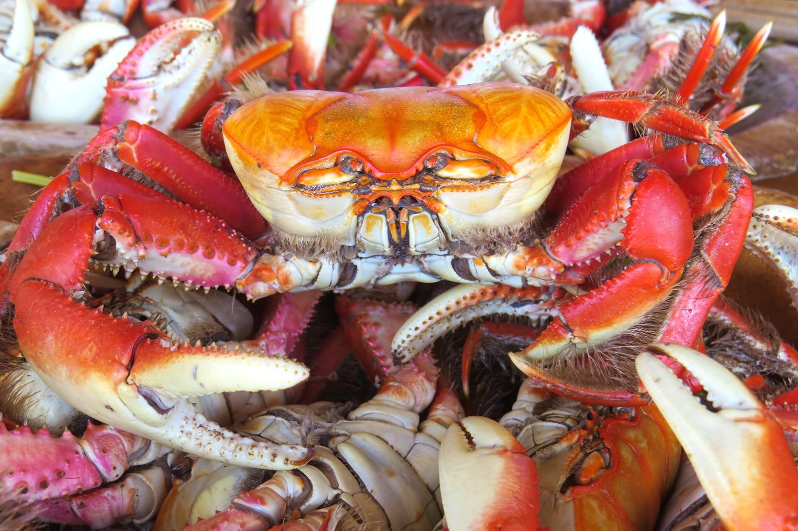 9 melhores restaurantes em Aracaju