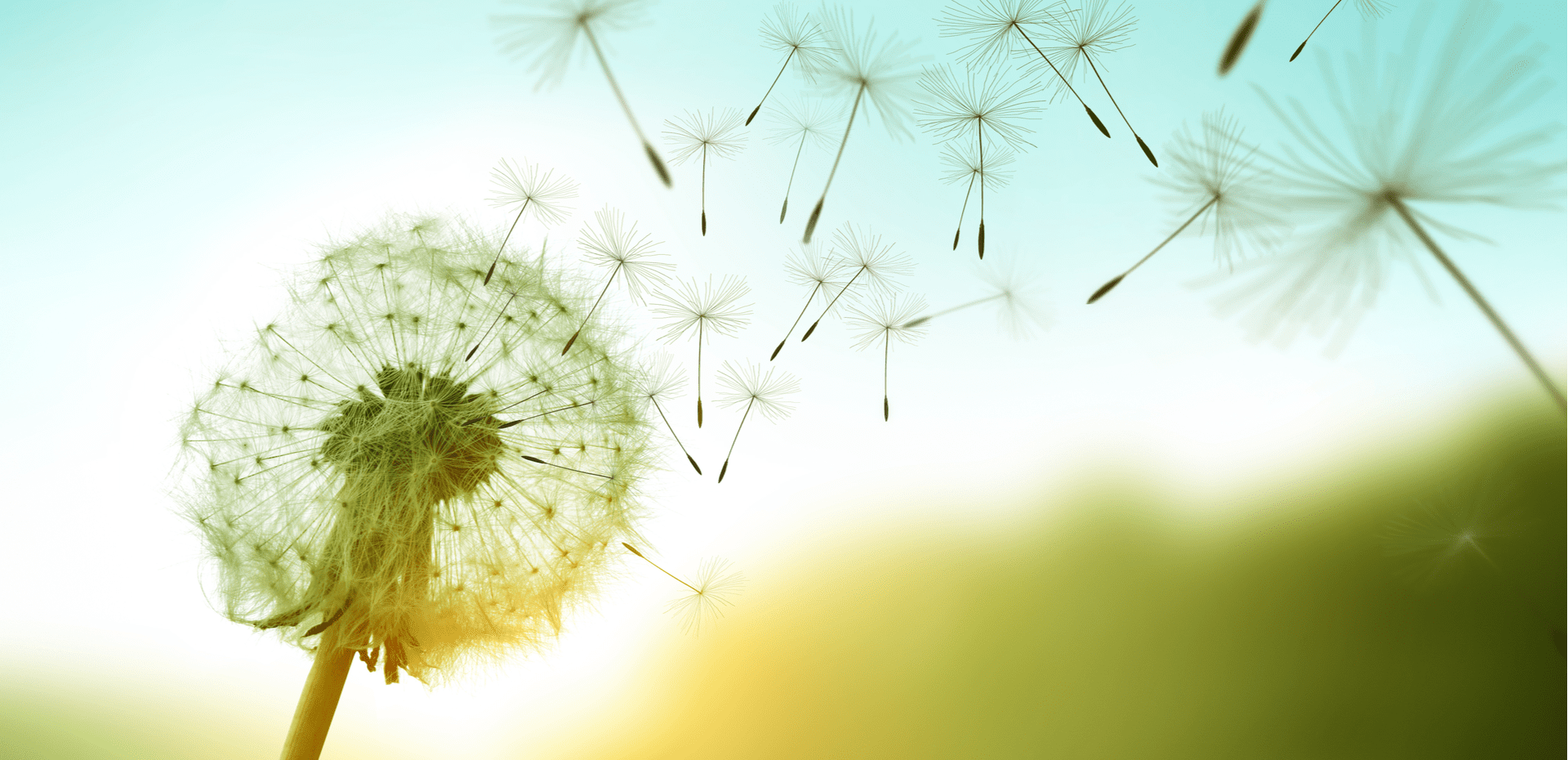 How to discover your peak state with emotional triad psychology | Tony ...