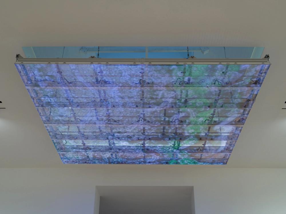 PIN–UP | ARTIST WANGSHUI ON A.I. SOLUTIONS AND POST-HUMAN CONSCIOUSNESS