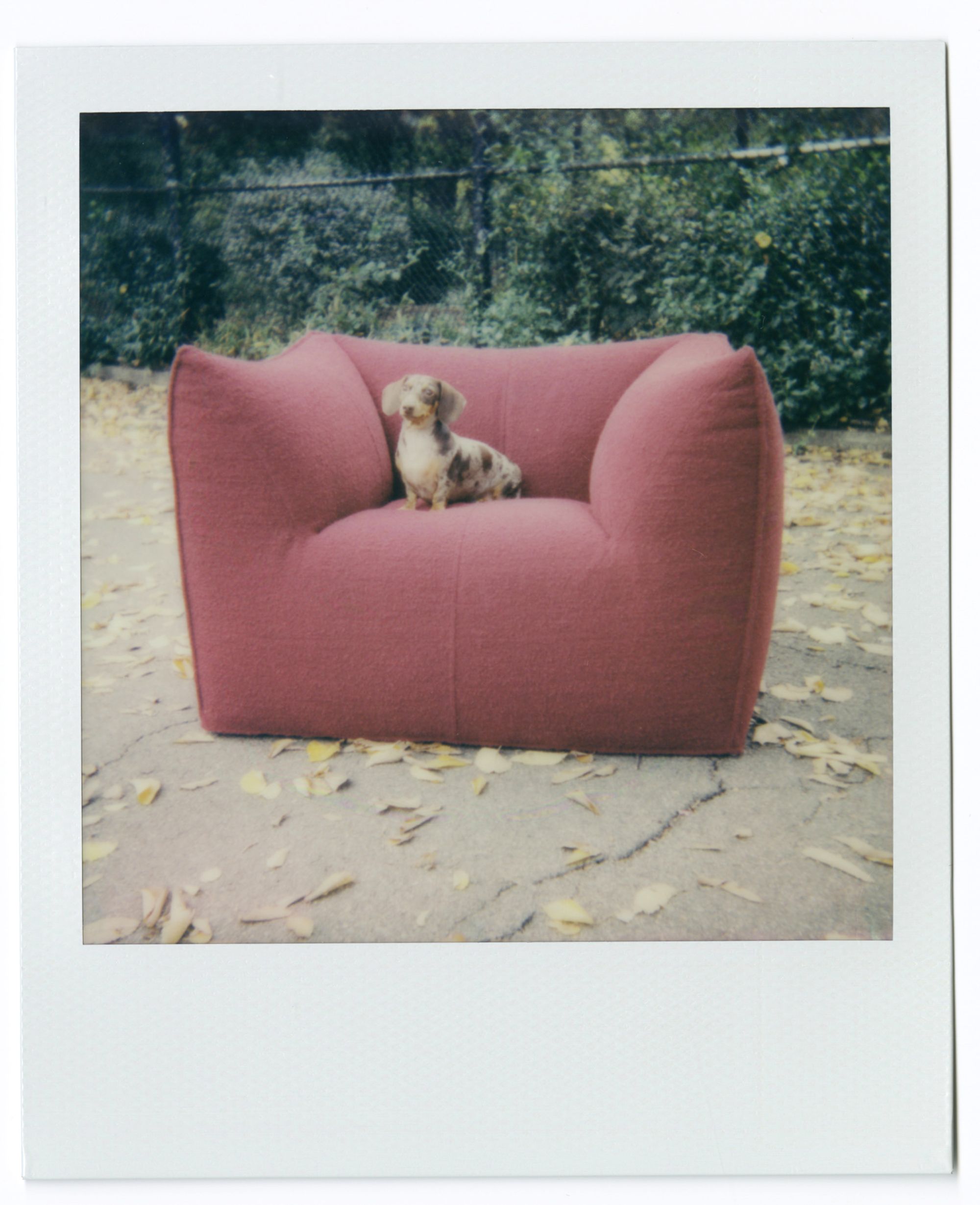 PIN–UP | THE RETURN OF THE BAMBOLE