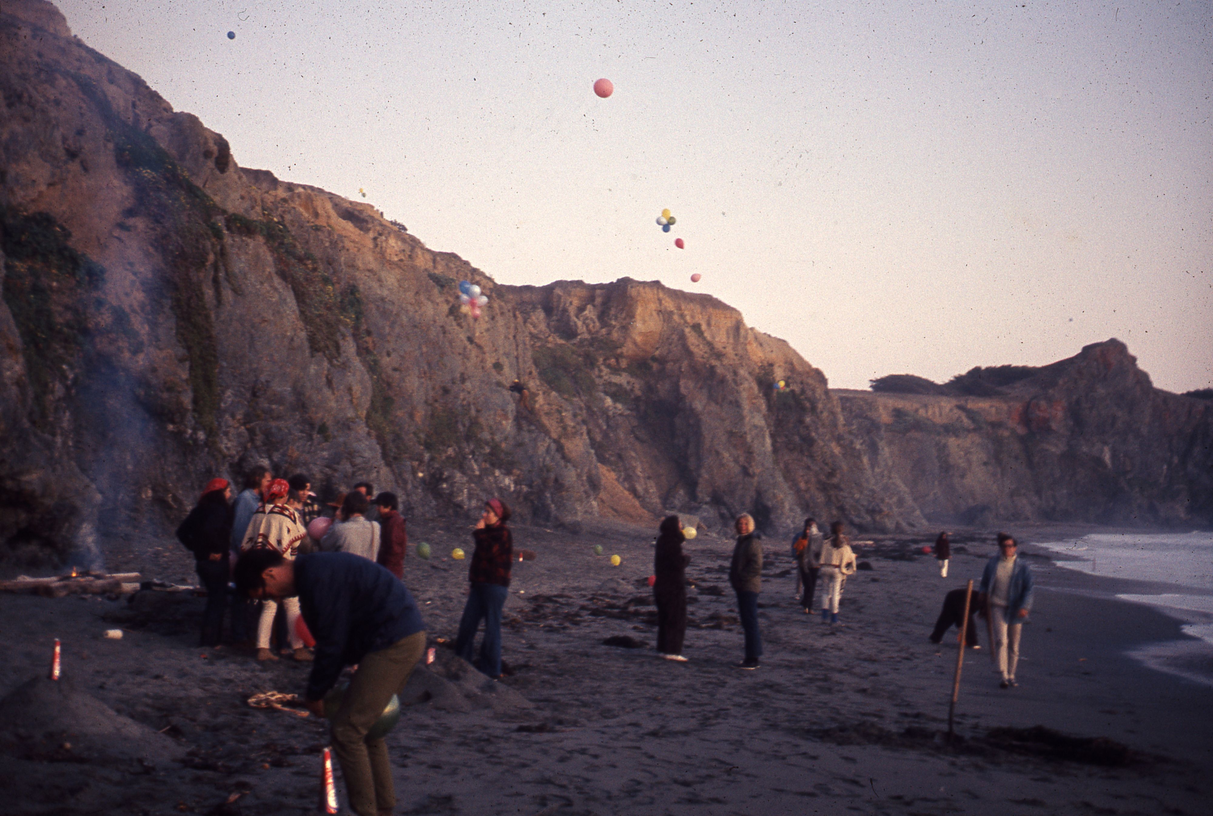 PIN–UP | ON MOMA’S “EMERGING ECOLOGIES” EXHIBITION