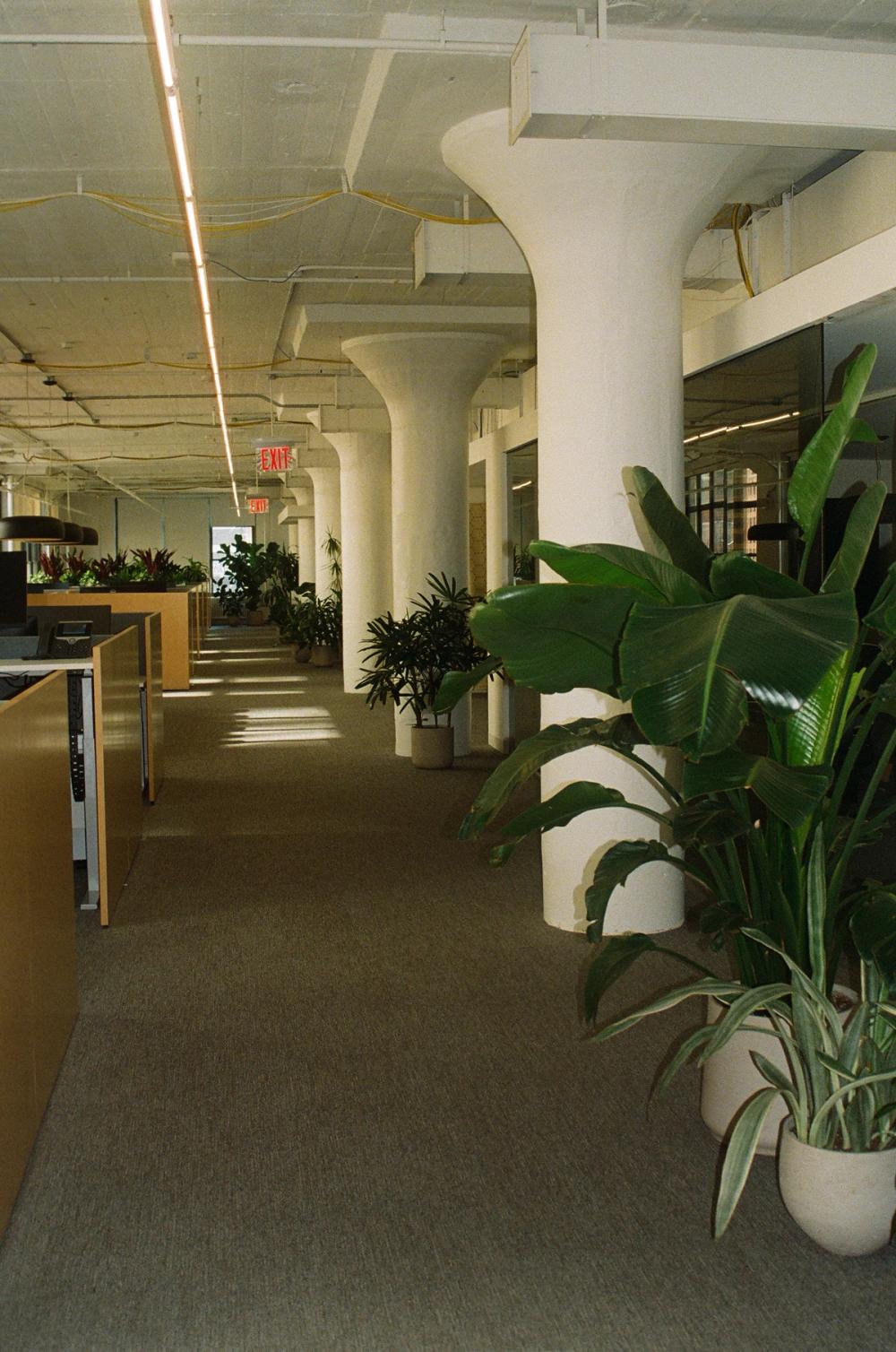 PIN–UP | SUSAN LYONS, TEXTILE INNOVATOR