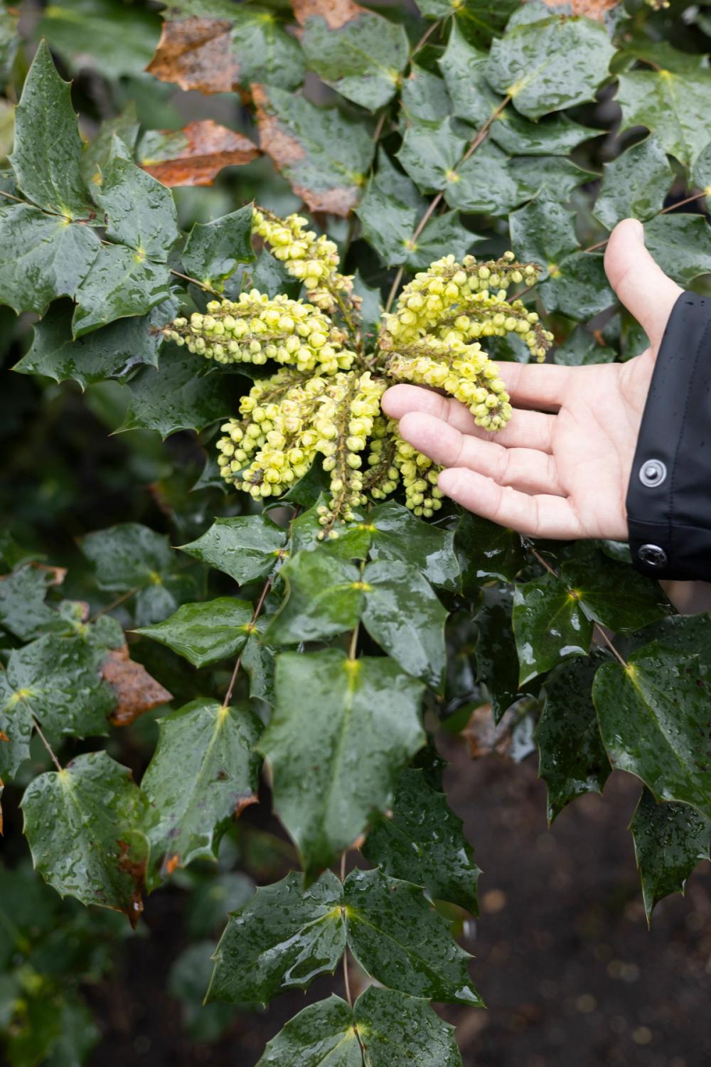 PIN–UP | ARCHITECTURE INC: AN INTERVIEW WITH ADAM ROLSTON