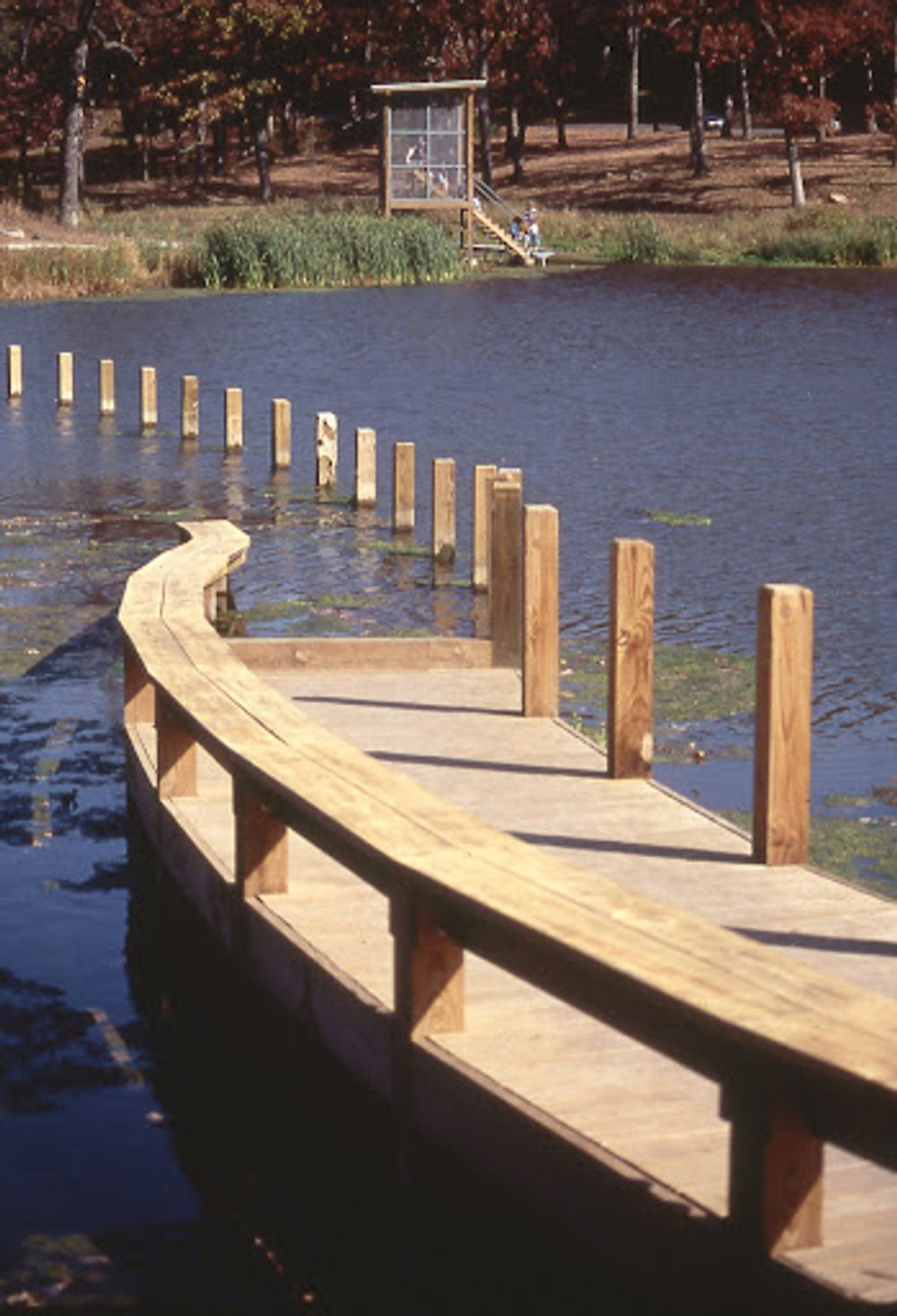 PIN–UP | STAYING POWER: AN INTERVIEW WITH MARY MISS