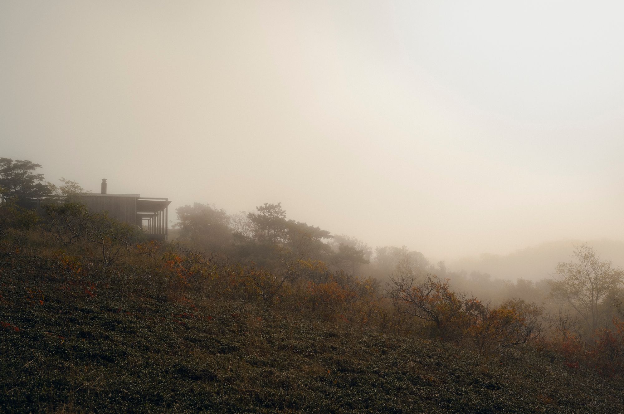 PIN–UP | PURITANICAL THRIFT MEETS PROGRESSIVE IDEAS ON CAPE COD’S ...