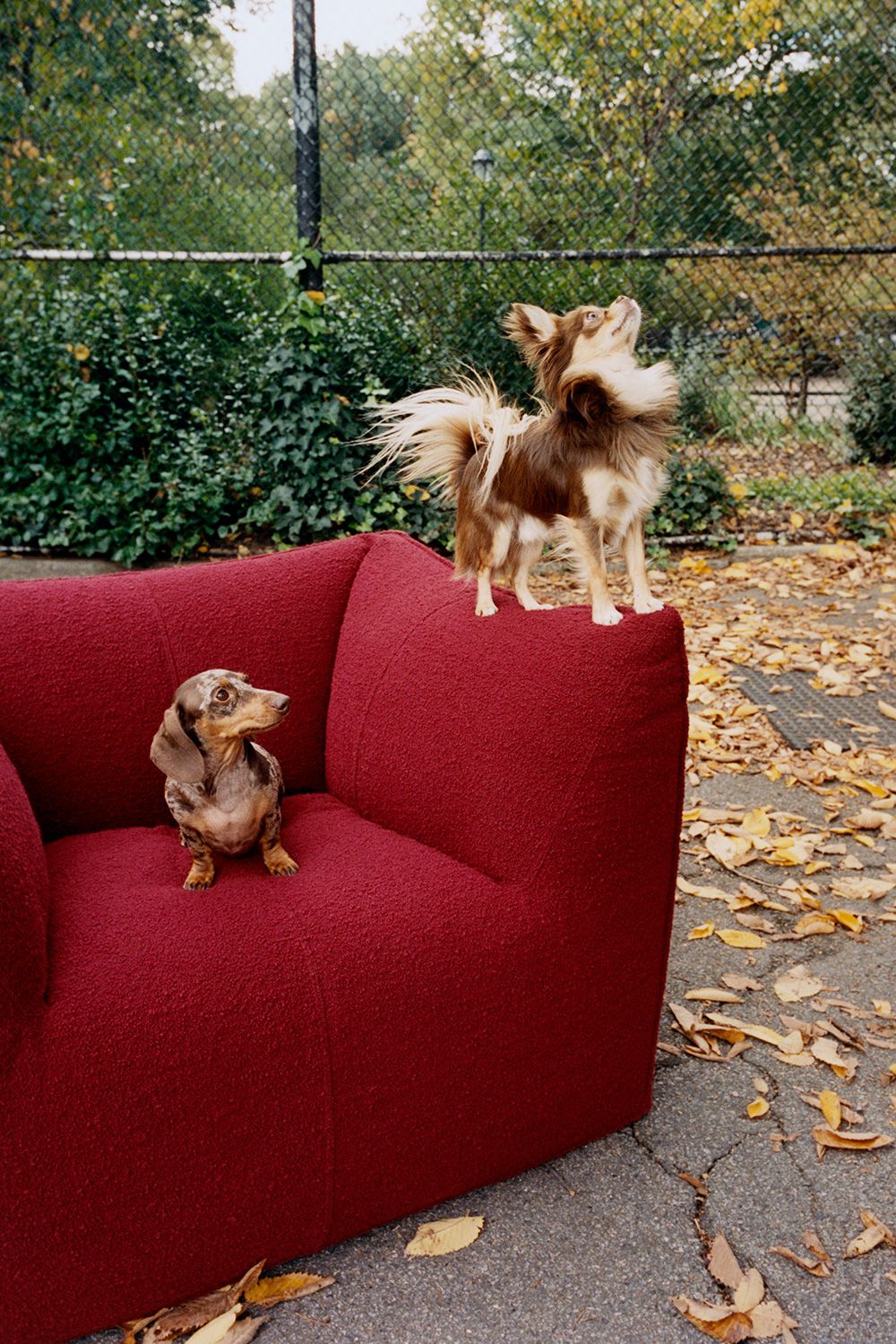 PIN–UP | THE RETURN OF THE BAMBOLE